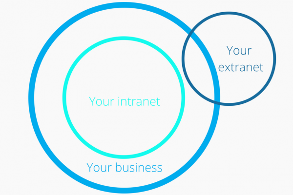 What's the Difference Between Intranets and Extranets?